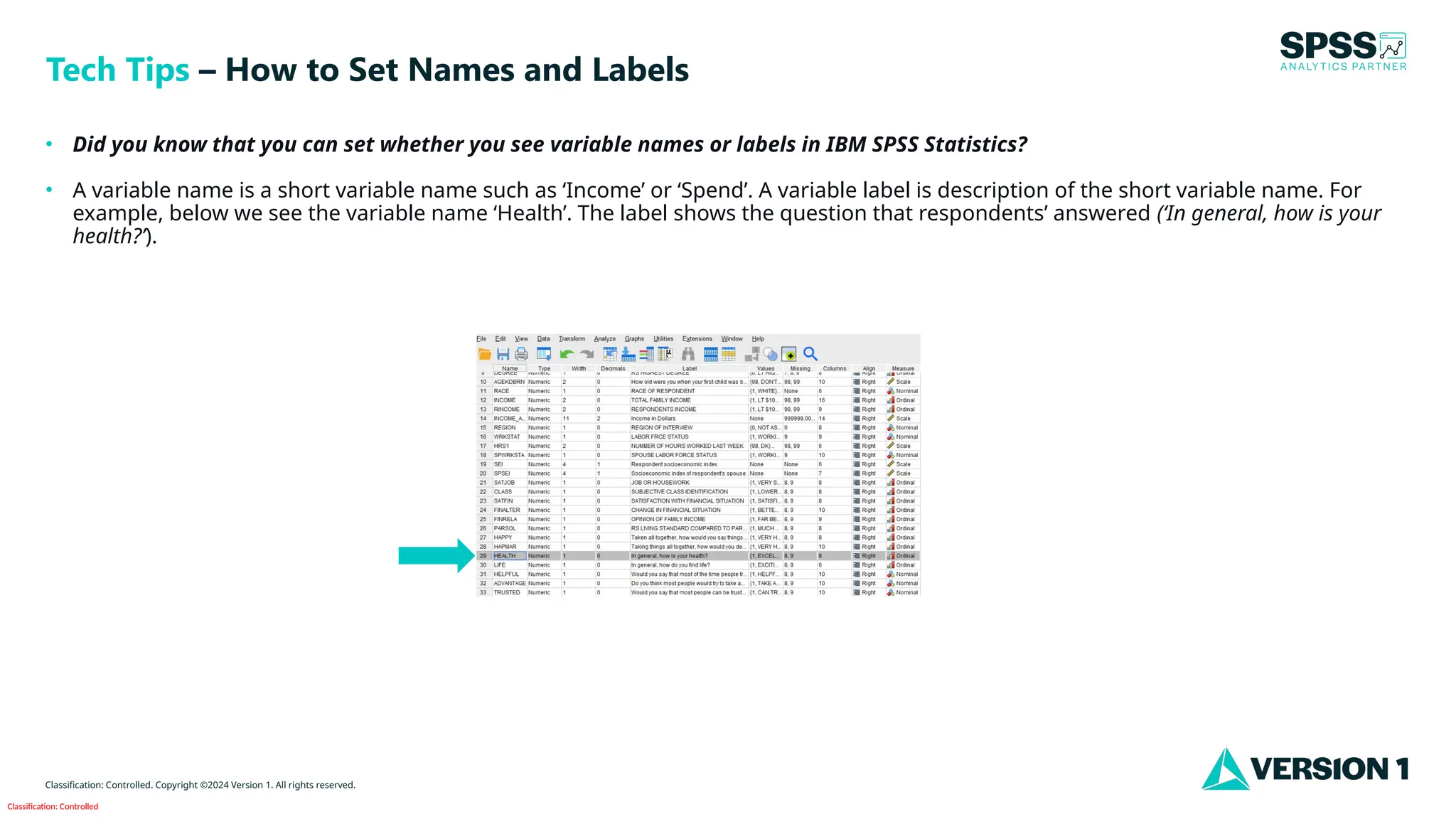 Setting Values and Labels in IBM SPSS Statistics .pptx