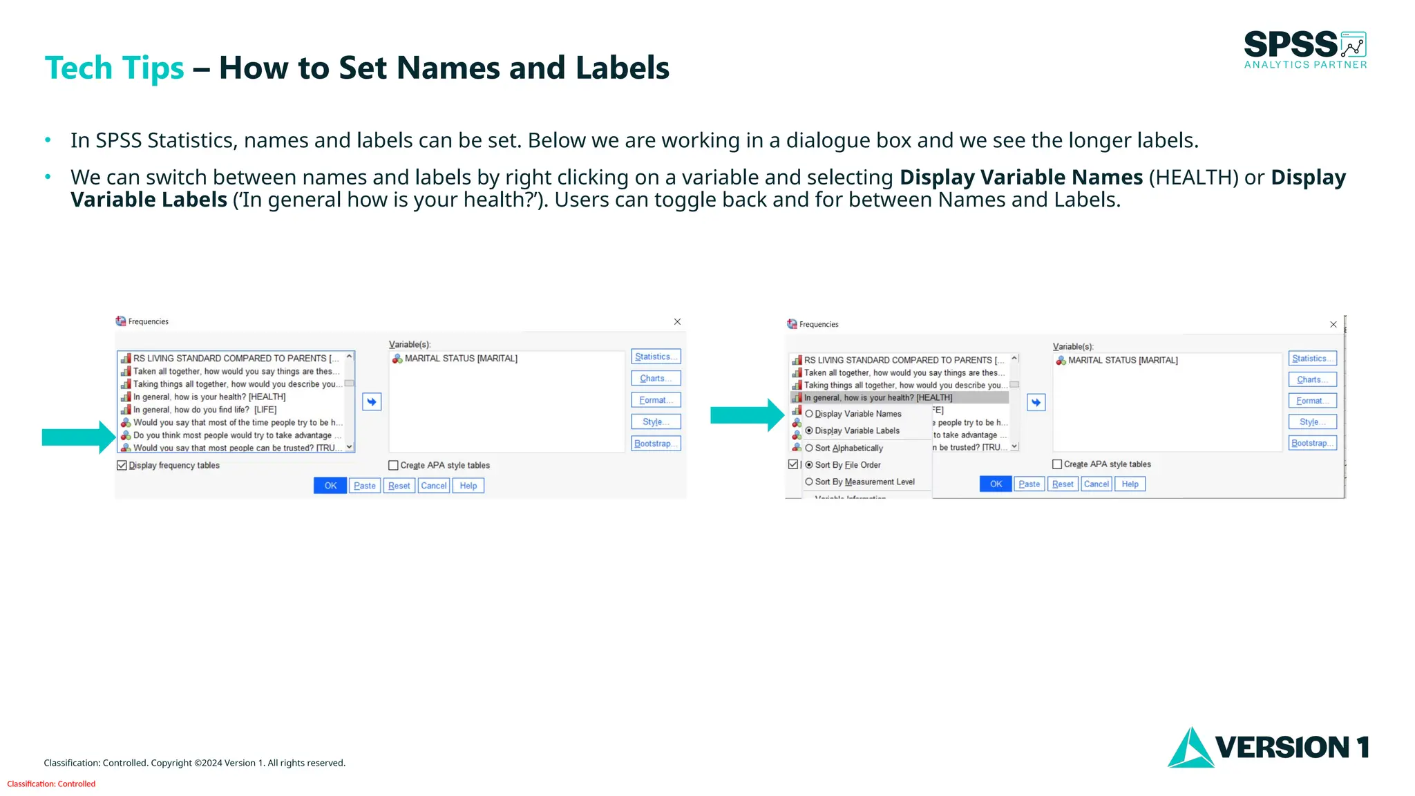 Setting Values and Labels in IBM SPSS Statistics .pptx
