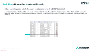 Setting Values and Labels in IBM SPSS Statistics .pptx
