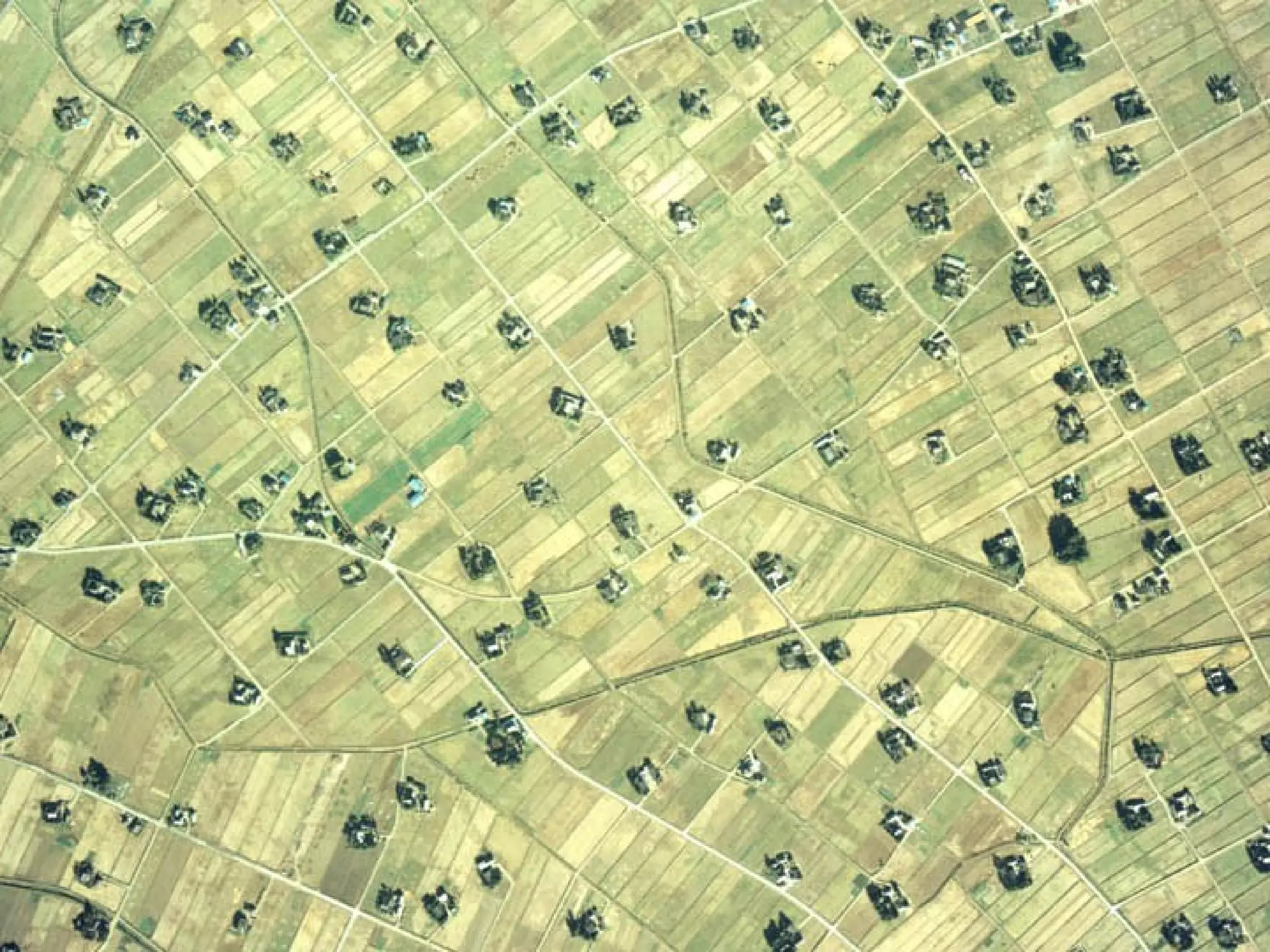 Settlement Patterns | PPT