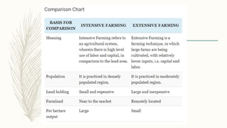 Grade 12 SETTLEMENT GEOGRAPHY | PPTX