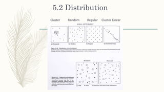 Grade 12 SETTLEMENT GEOGRAPHY | PPTX