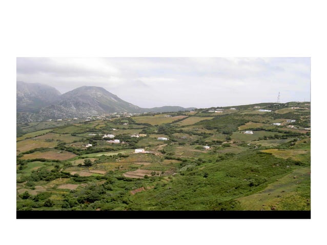 Settlement types di | PPT