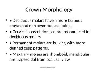 Set_Traits_of_Molars_Anatomy_Only_Alisha_Mogal (1).pptx