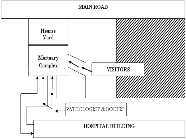 mortuary and its setup | PPT | Infectious Diseases | Diseases and ...