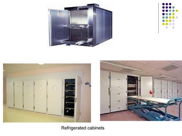 mortuary and its setup | PPT | Infectious Diseases | Diseases and ...