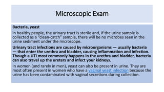 urine analysis labortory diagnosisn work ppt | PPTX