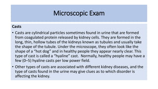 urine analysis labortory diagnosisn work ppt | PPTX