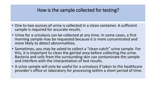 urine analysis labortory diagnosisn work ppt | PPTX