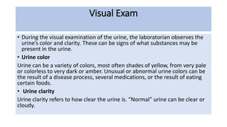 urine analysis labortory diagnosisn work ppt | PPTX
