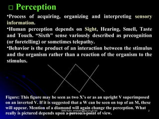 Perception | PPT