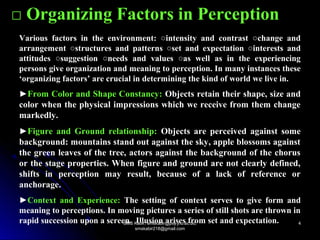 Perception | PPT
