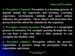 Perception | PPT
