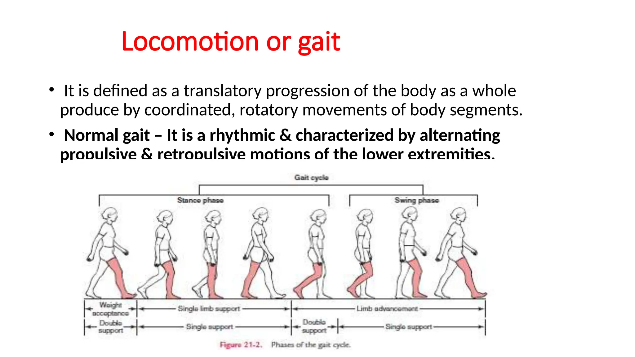 seu, skills, VII ,day 4- motor functions , cerebellum and gait exam ...