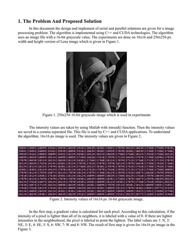 Comparison Of Parallel Algorithms For An Image Processing Problem On 4333