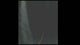 Seven blind mice | PPTX