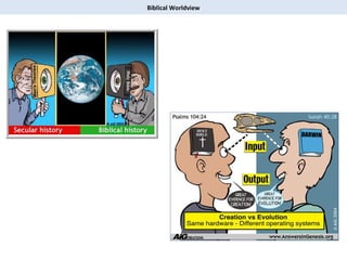 Seven Cs Of History | PPT