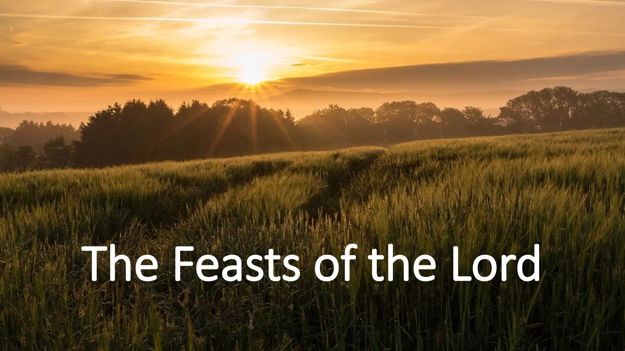 Seven Feasts of the Lord and Appointed Times.pptx