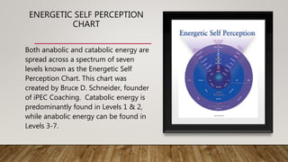 Seven Levels of Energy Leadership | PPTX
