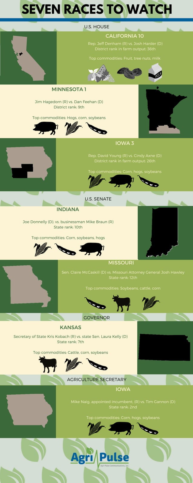 Seven races to watch | PDF