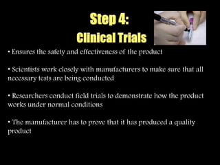 Seven Steps to Product Approval | PPTX