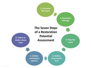 The Seven Steps of Restoration Potential | PPT