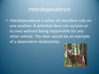 Seven themes of Biology | PPT