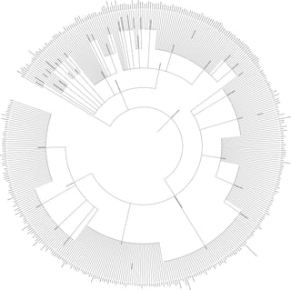 seven_trees.pdf | Chemistry | Science