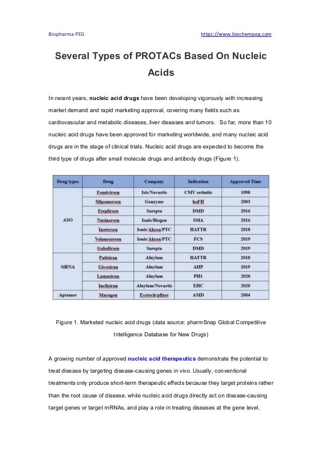Several Types of PROTACs Based On Nucleic Acids | PDF