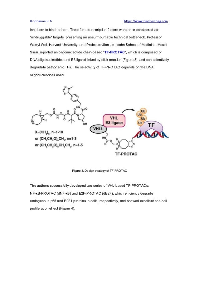 Several Types of PROTACs Based On Nucleic Acids | PDF