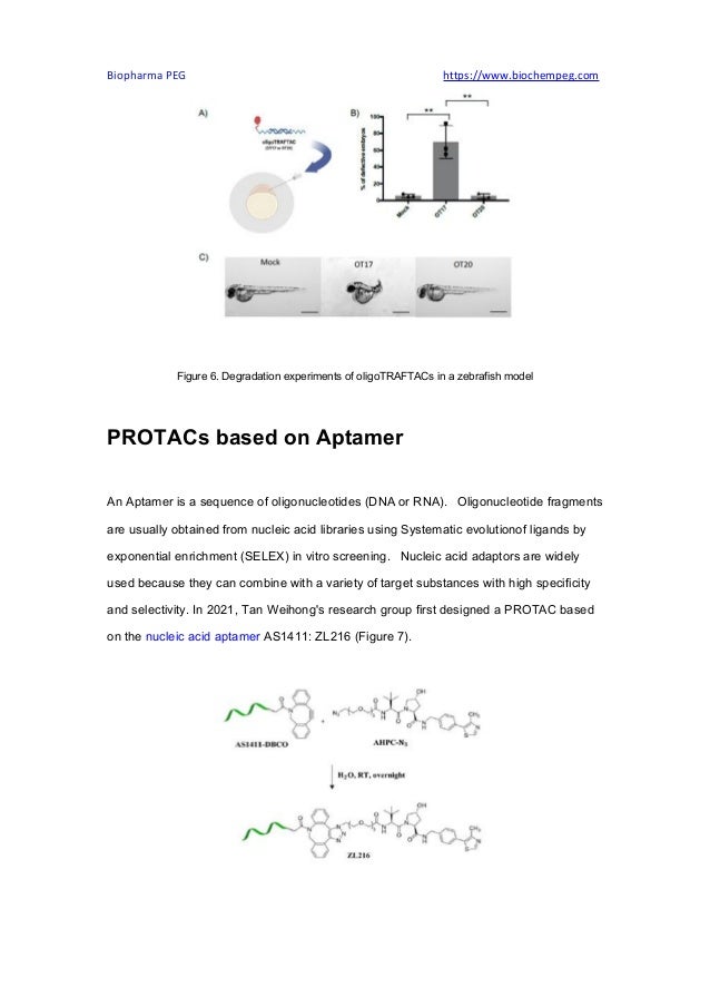 Several Types of PROTACs Based On Nucleic Acids | PDF
