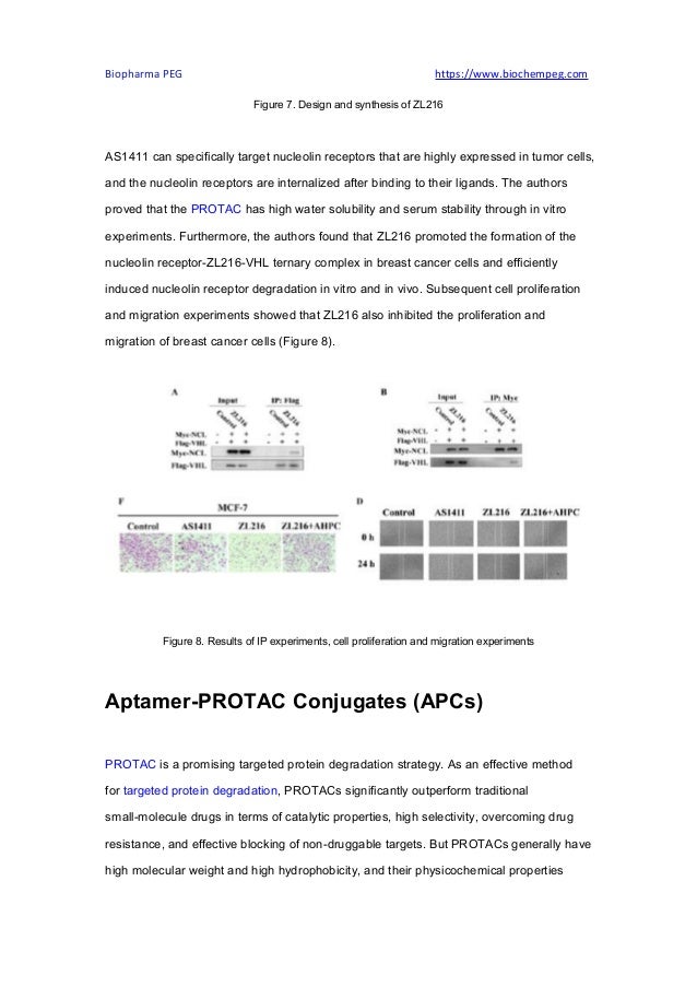 Several Types of PROTACs Based On Nucleic Acids | PDF