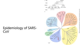 Severe acute respiratory syndrome (sars) | PPTX
