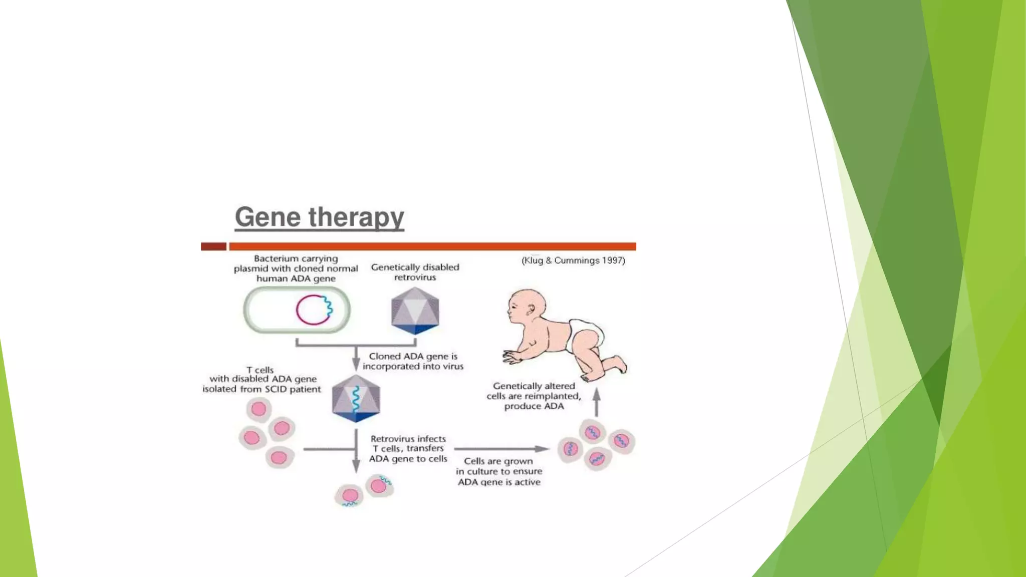Severe combined immunodeficiency (SCID) | PPTX