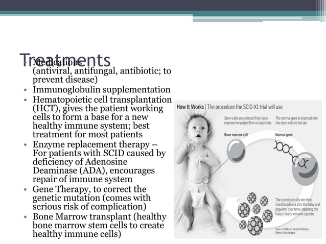 Severe Combined Immunodeficiency | PPT