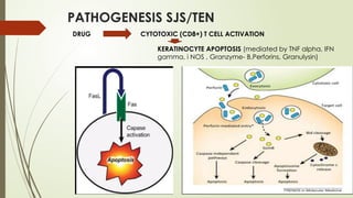 SEVERE CUTANEOUS ADVERSE DRUG REACTIONS (SCAR)-2-1.pptx