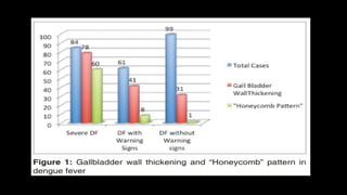 severe dengue fever honey coomb pattern.pptx