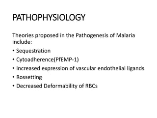 MANAGEMENT OF SEVERE MALARIA | PPTX
