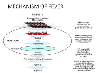 MANAGEMENT OF SEVERE MALARIA | PPTX