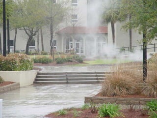 Severe rain, rain, go away | PPT