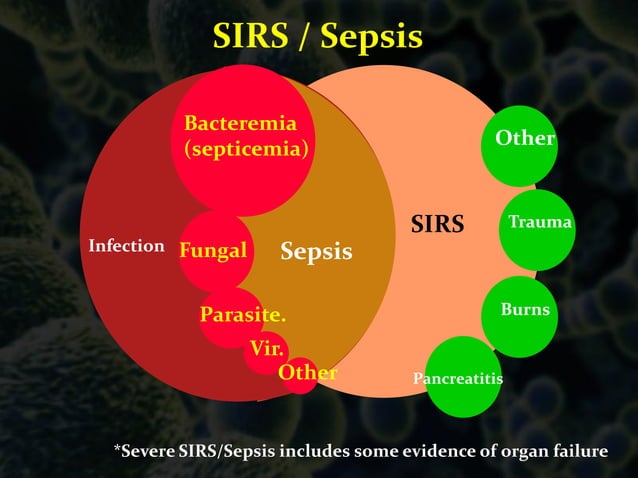 Severe Sepsis And Septic Shock Ppt