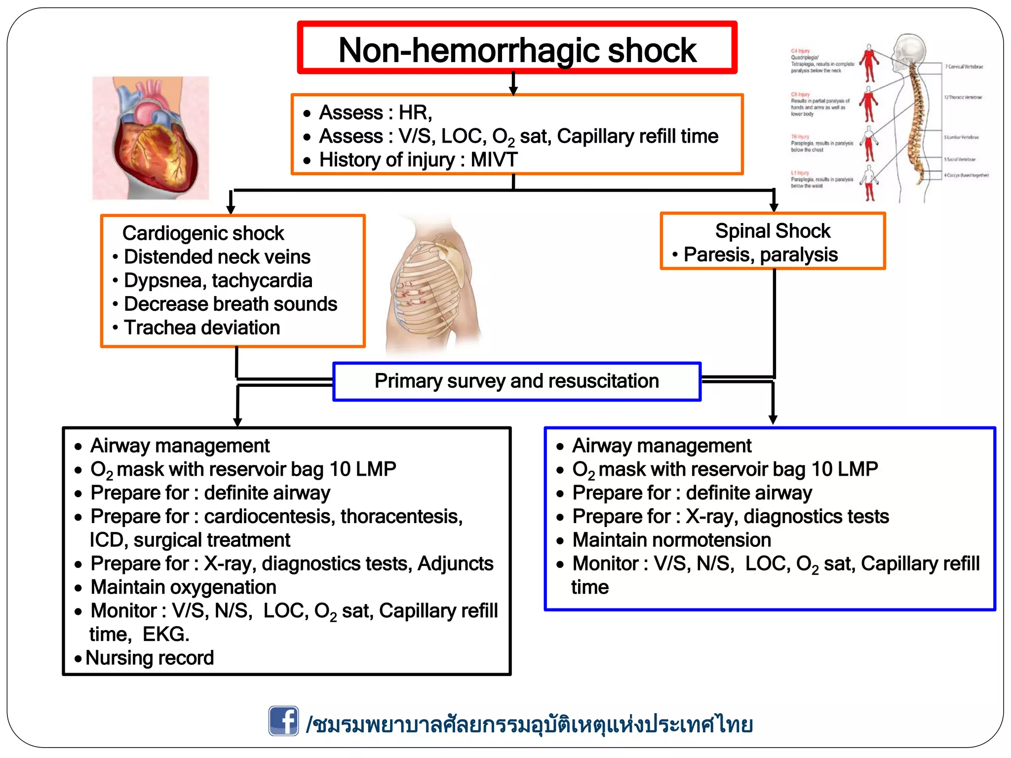 Severe trauma and traumatic shock 14 พค.58