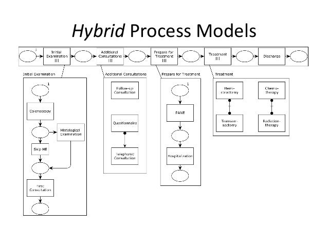 Hybrid Process Models