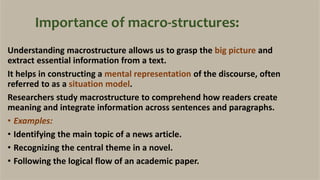 micro and macro structures in sociology.pptx