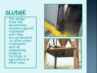 Sewage Treatment Plant | PPT