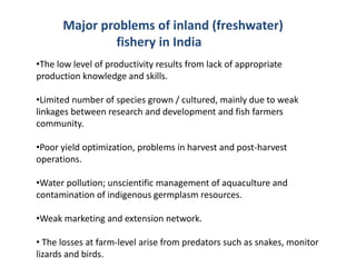 Sewage fed fish culture | PPTX