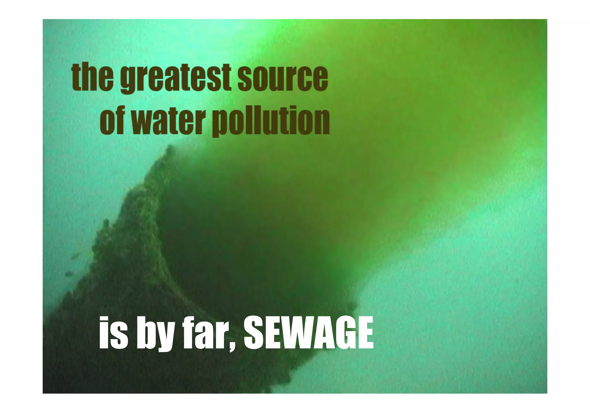 Toxic Sludge is actually Bad for You | PDF