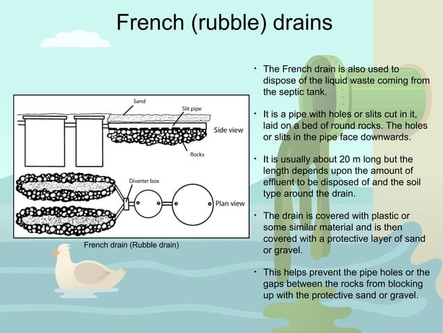 Sewage disposal methods- Sanitation and sewer system | PPT | Science
