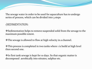 Sewage fed fish culture | PPTX
