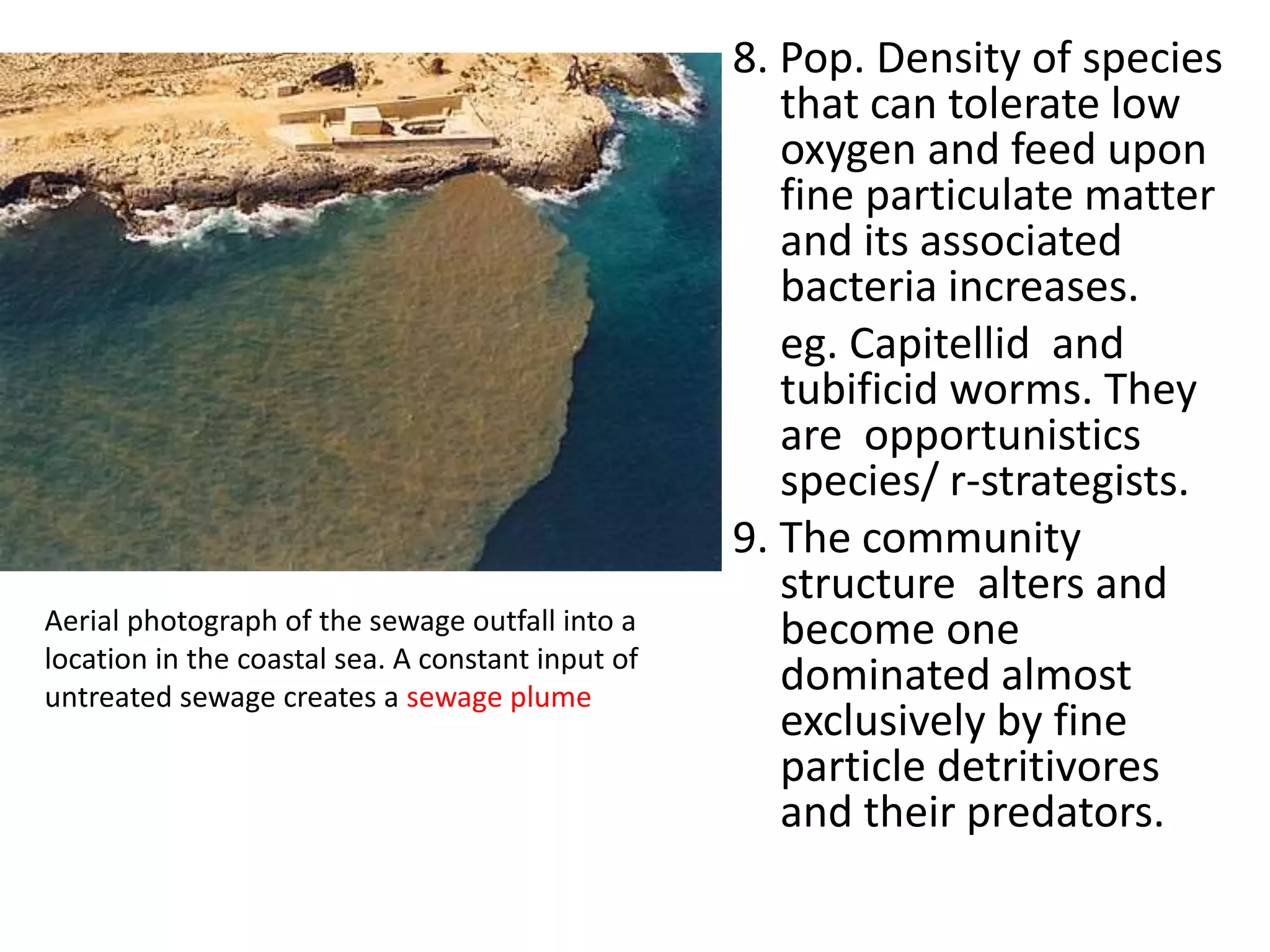 Sewage outfalls in marine and coastal areas | PPTX | Science